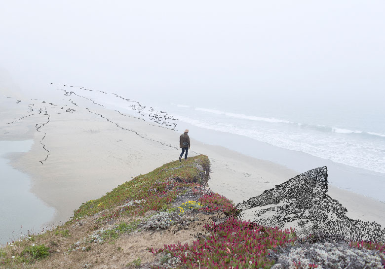 Tiny Atlas Quarterly | Point Reyes, California